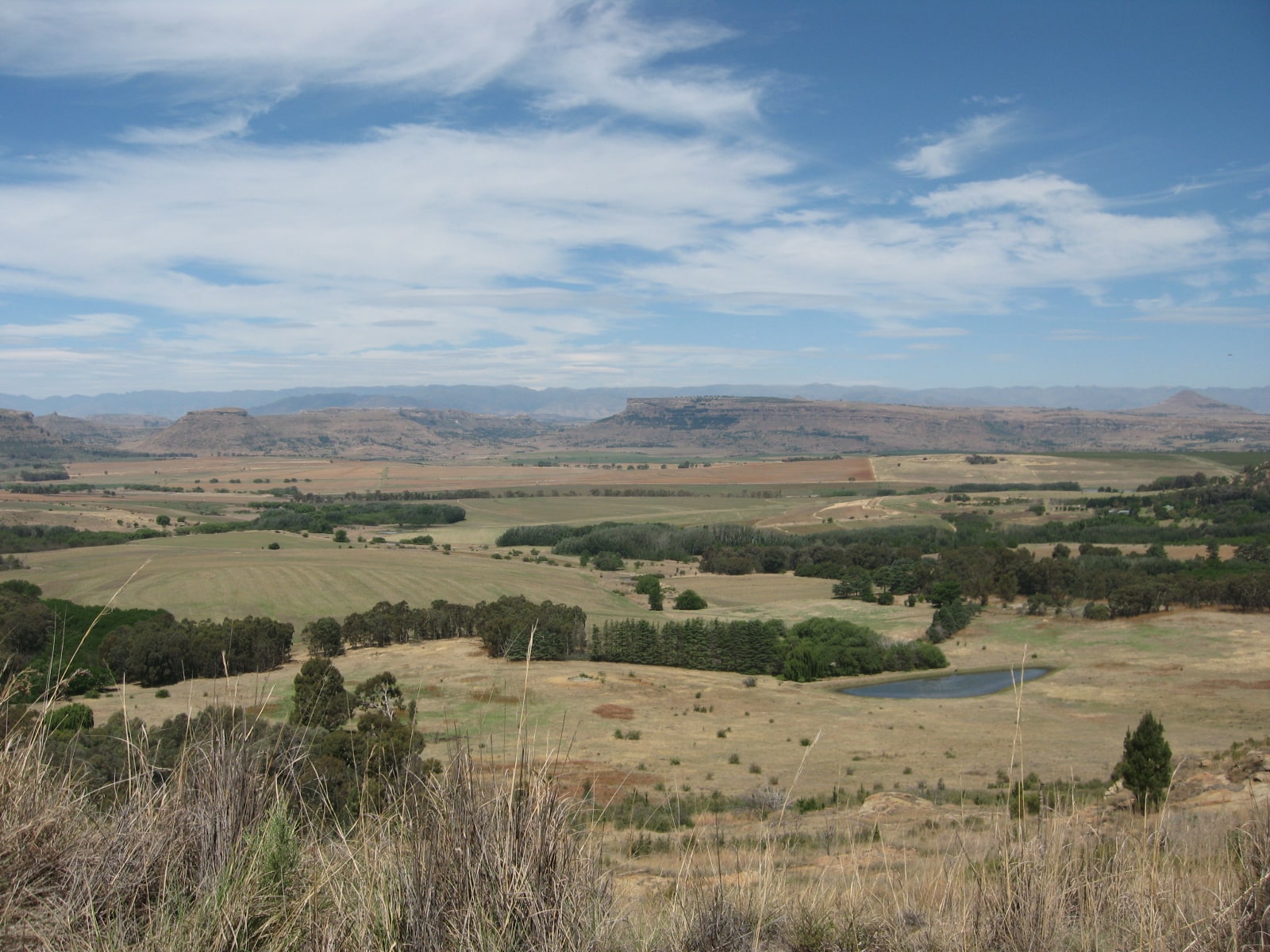 Why we will be going to Senekal – IRR - Daily Friend