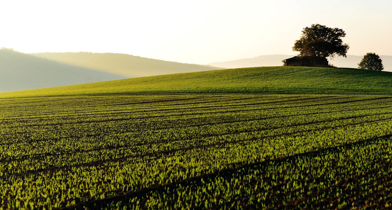 Understanding the Expropriation Bill - Daily Friend