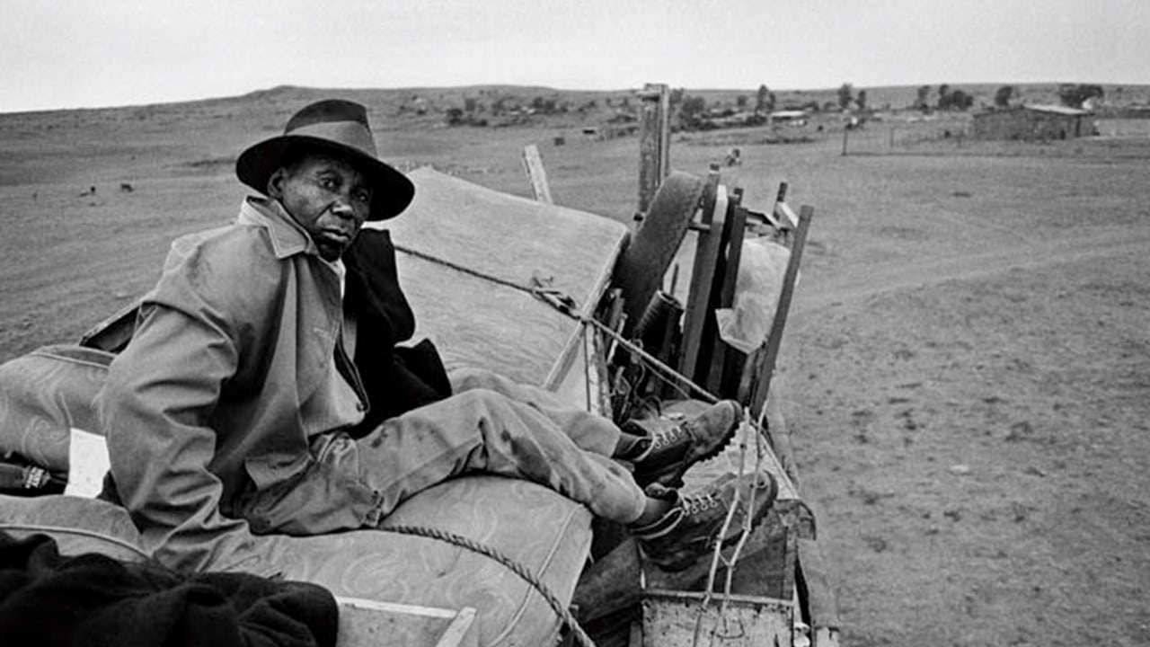 Remembering the future: state vs people - Daily Friend