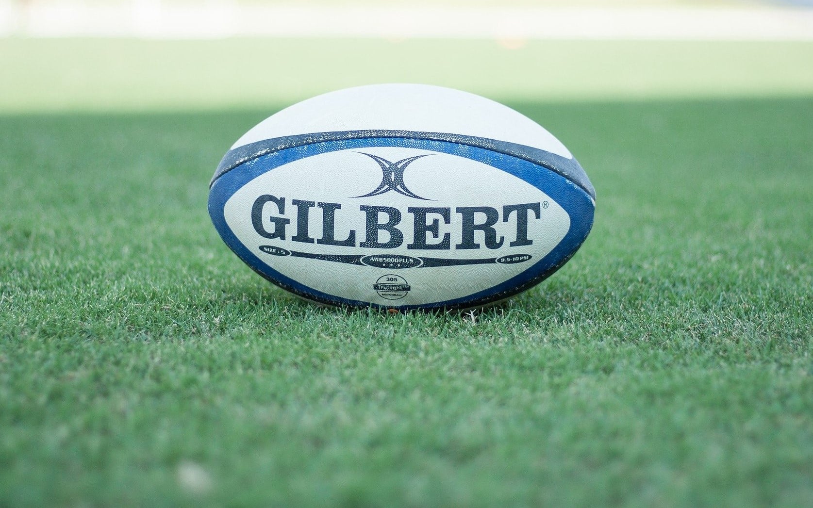 Zimbabwe qualifies for Rugby World Cup - Daily Friend