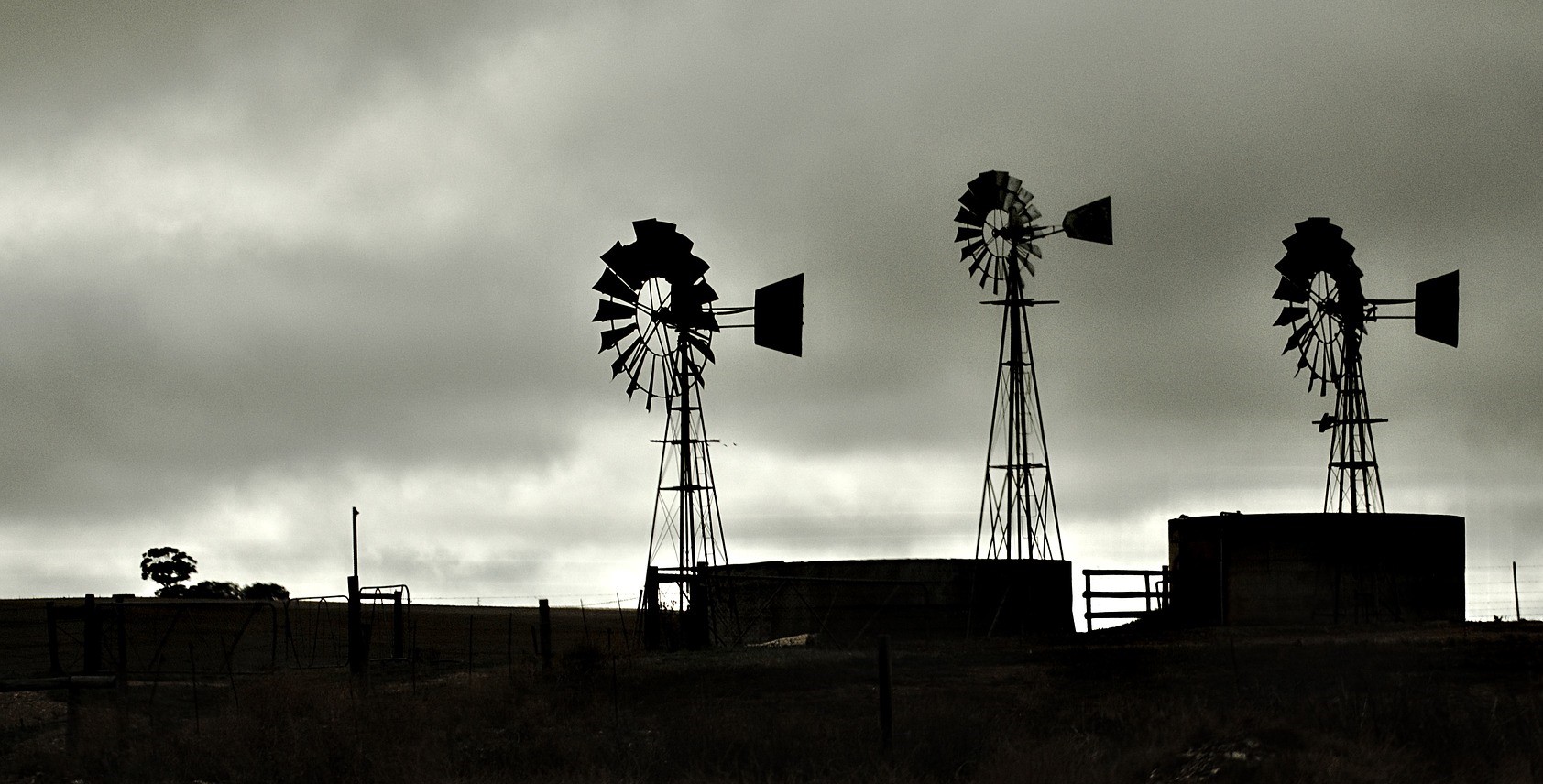 Crime threat to SA commercial farming - Daily Friend