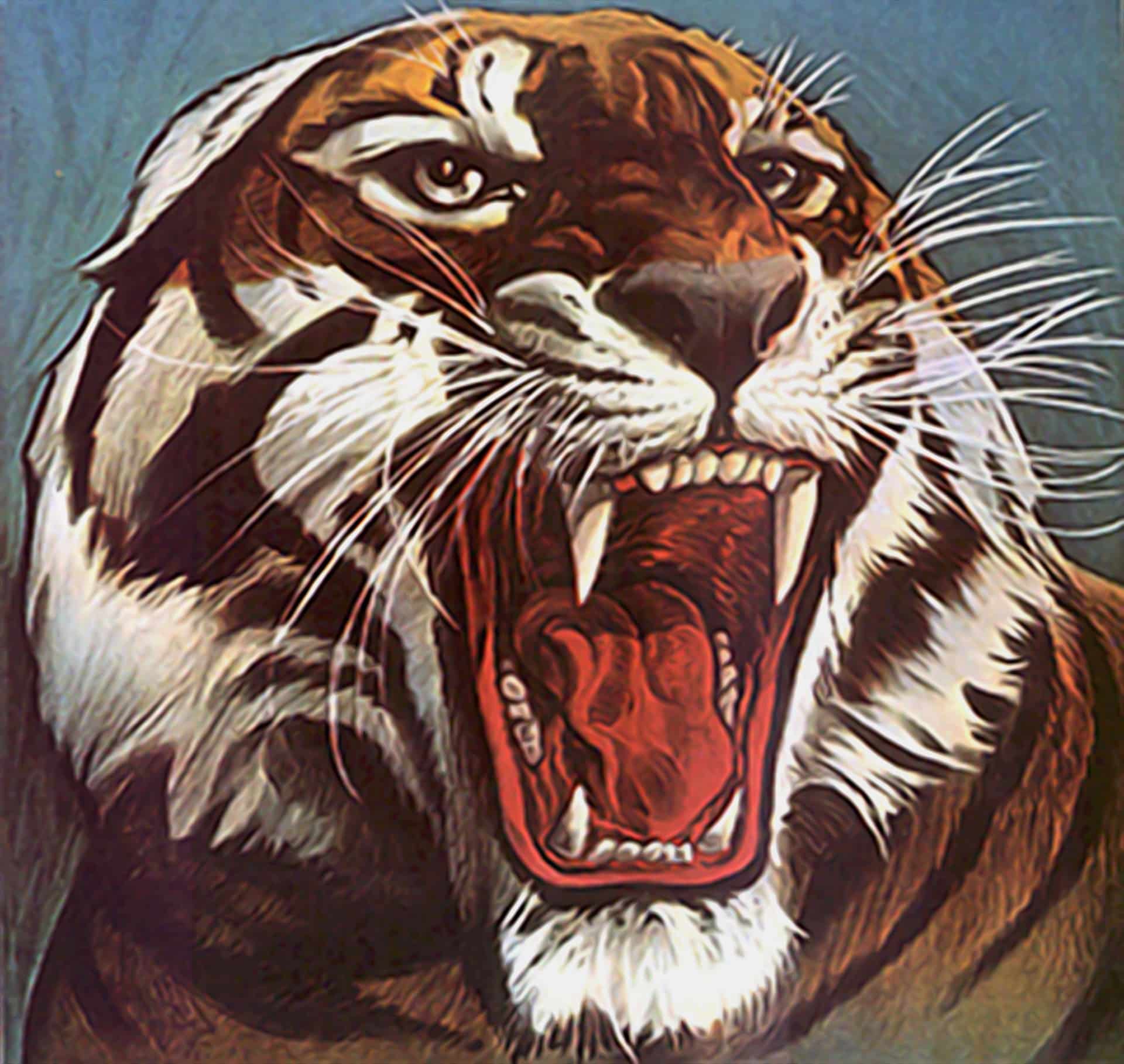 Inflation and incumbency: a tiger on the prowl - Daily Friend