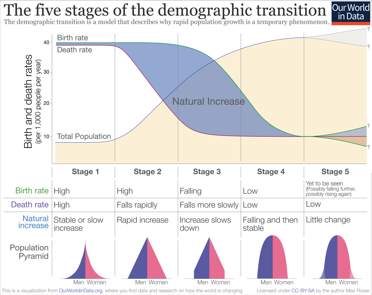 The population implosion - Daily Friend