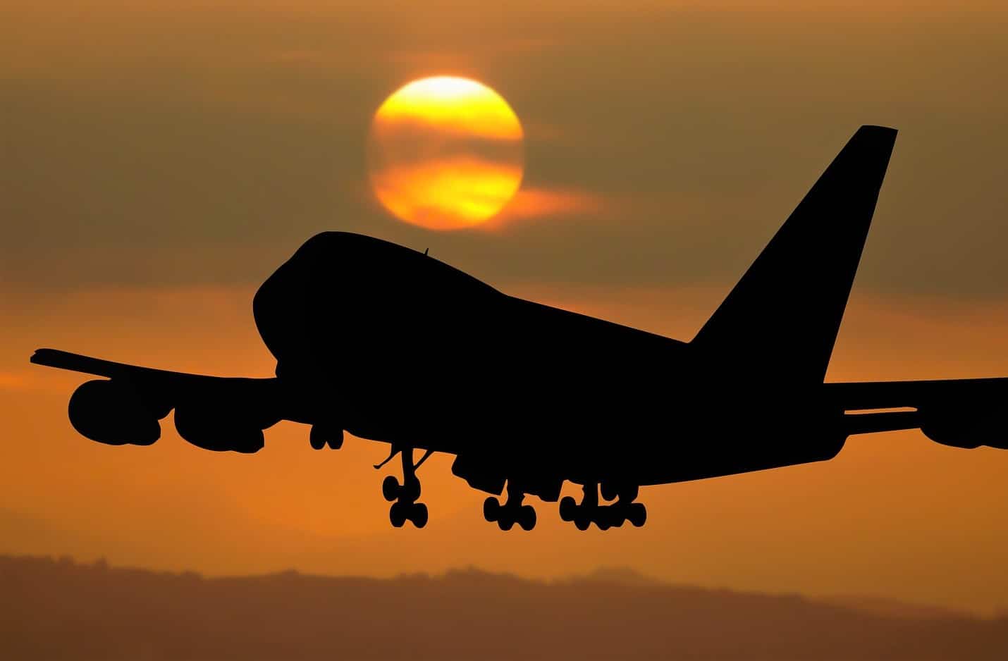 Drunk passenger gnashes stewardess - Daily Friend