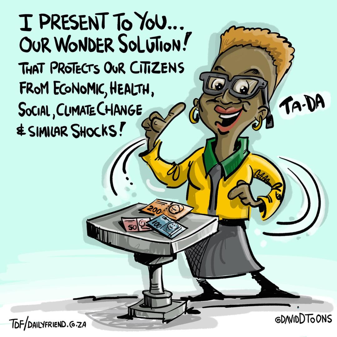 R350 grant - Daily Friend