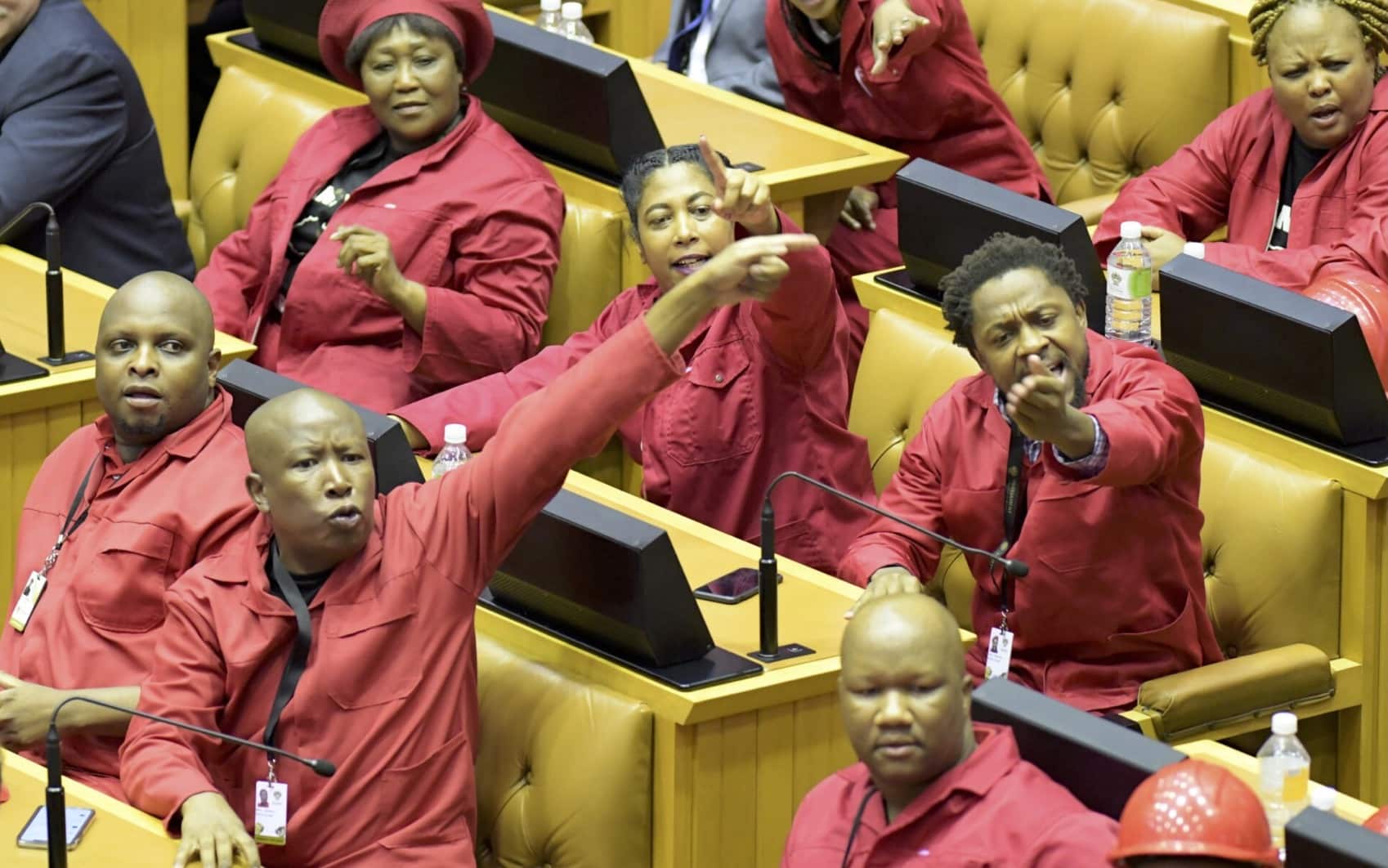 EFF are the exact opposite of real Economic Freedom Fighters - Daily Friend