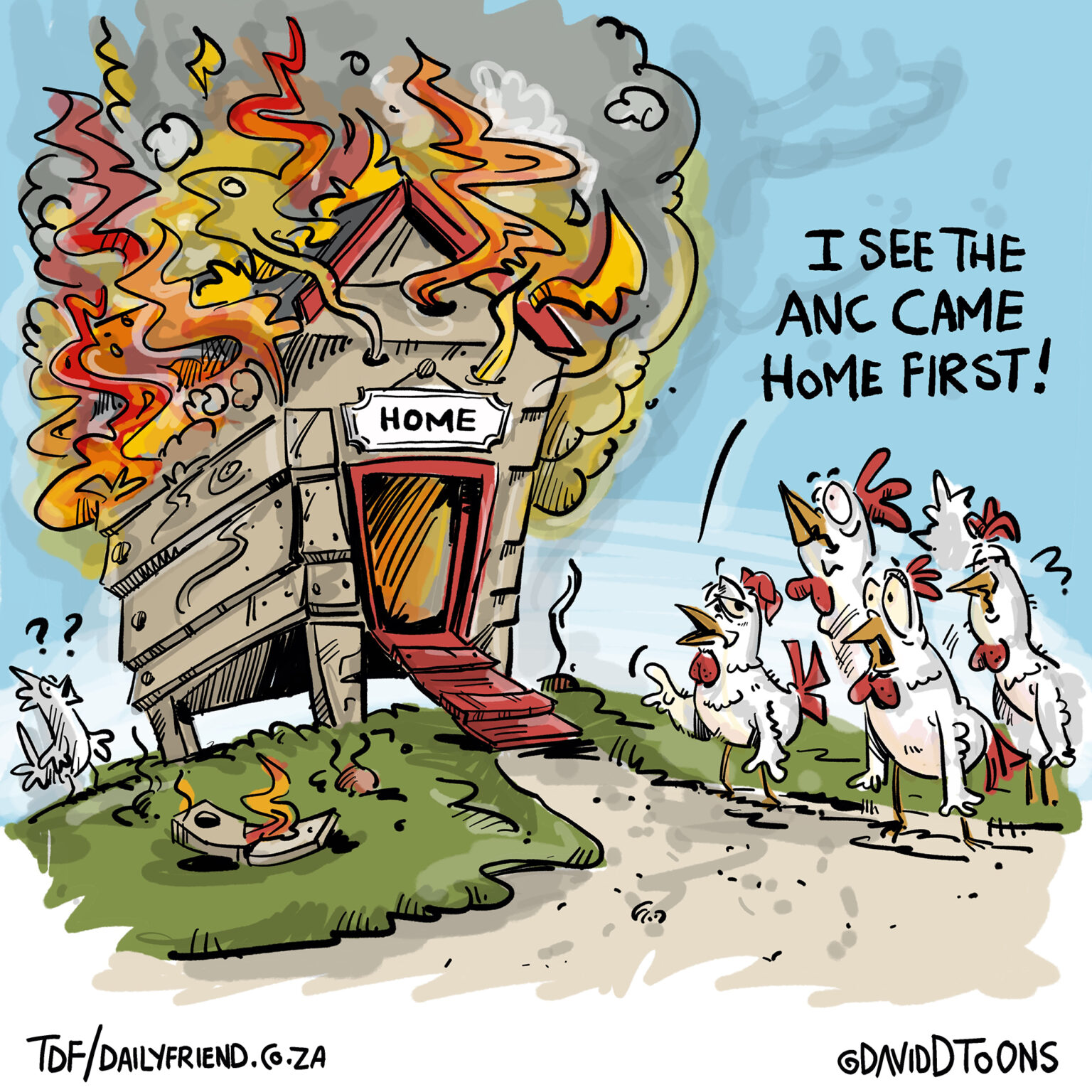 Chickens coming home - Daily Friend