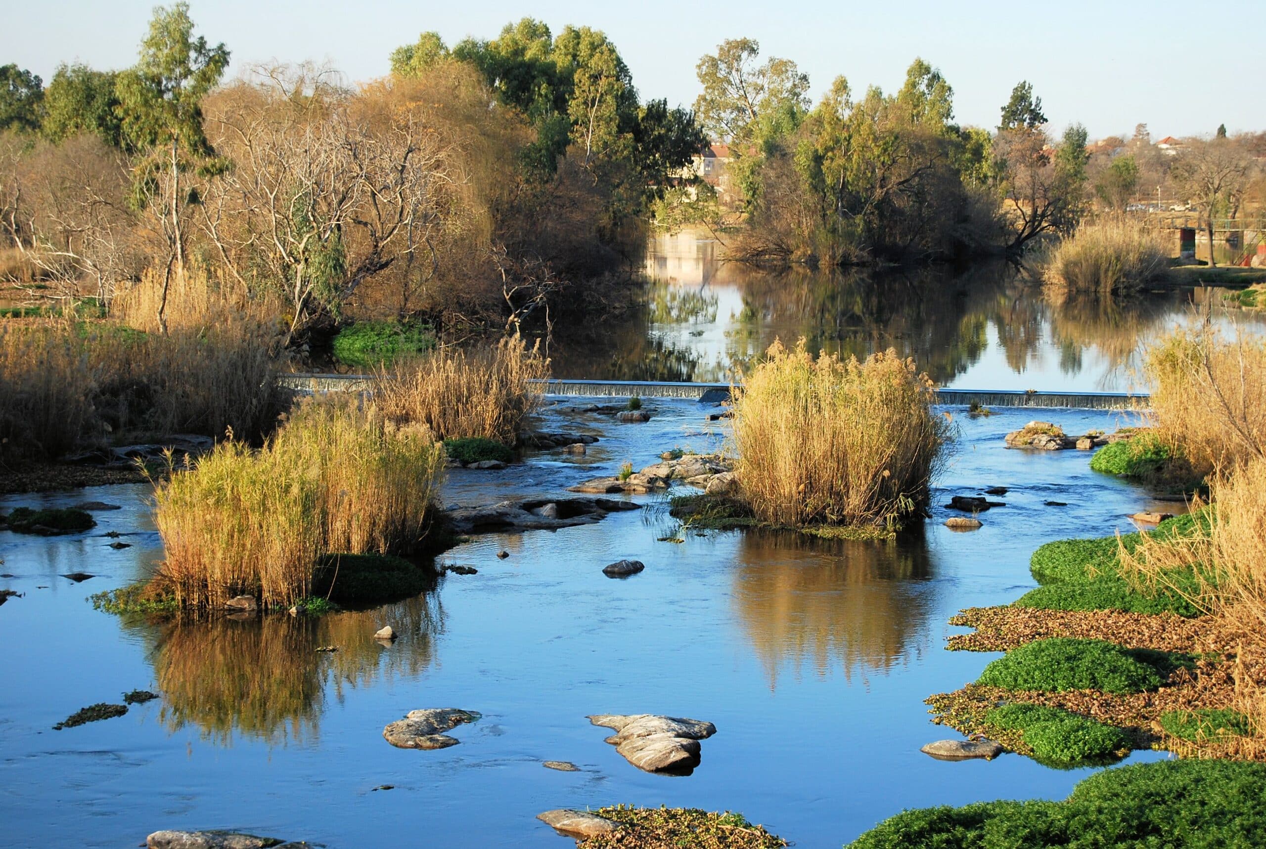 Dunkirk on the Vaal - Daily Friend