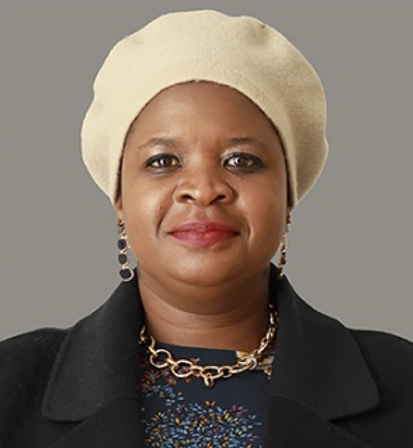 Gordhan goes head-to-head with DA's Gondwe - Daily Friend