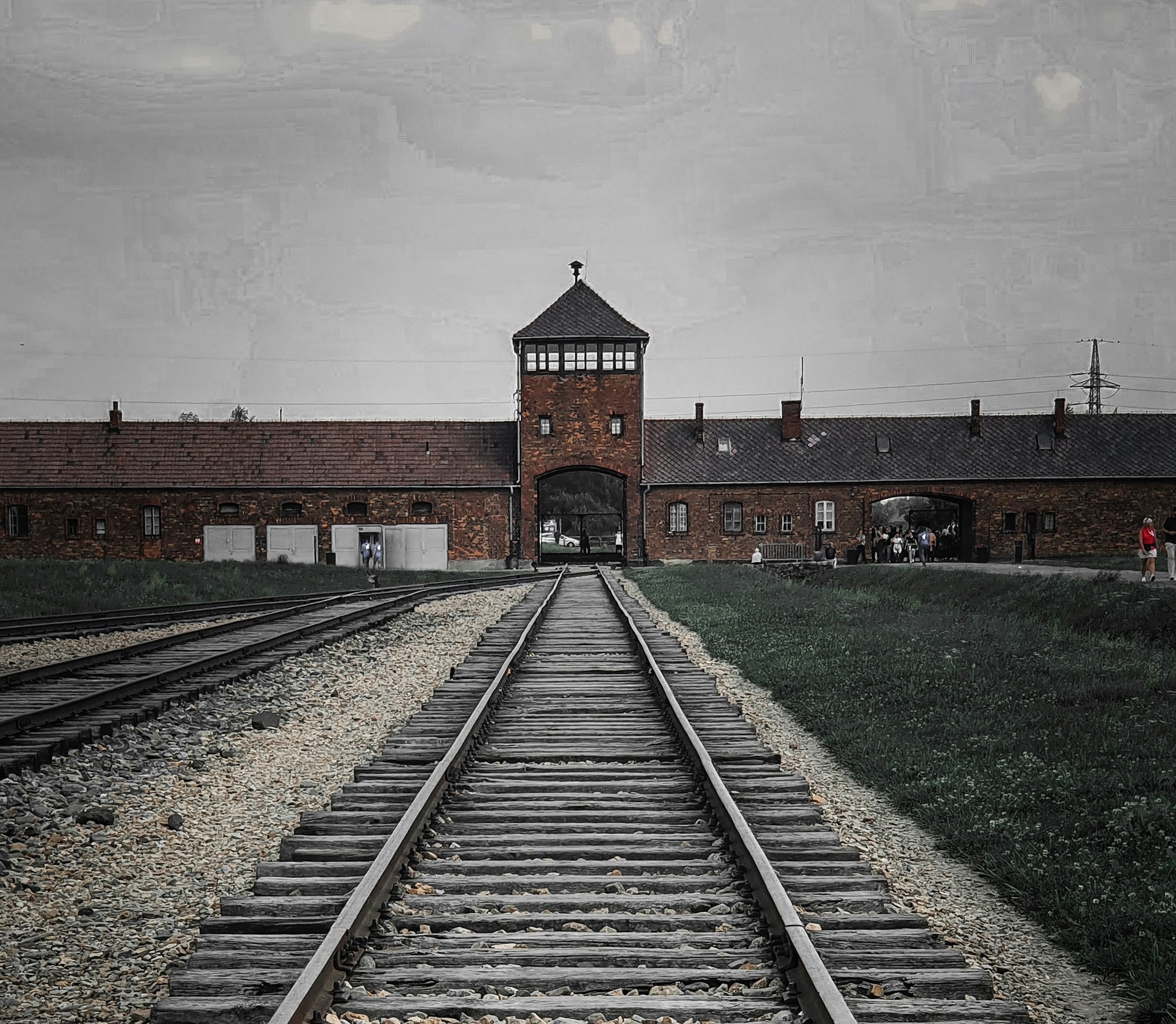 Eighty years since liberation of Auschwitz - Daily Friend
