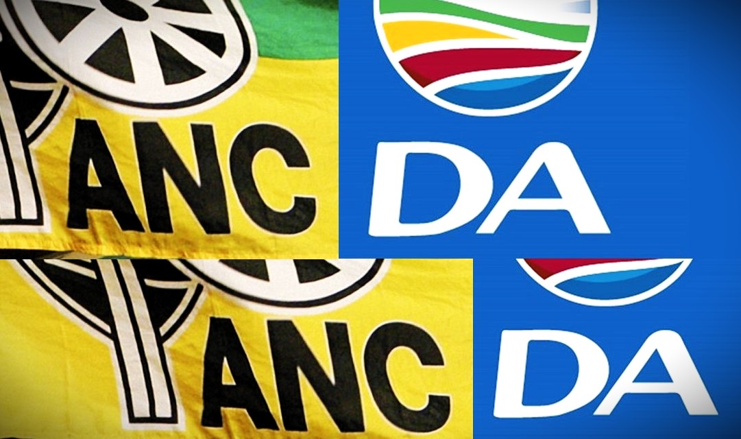 ANC manifesto “fails on ideological grounds” – Vegter - Daily Friend