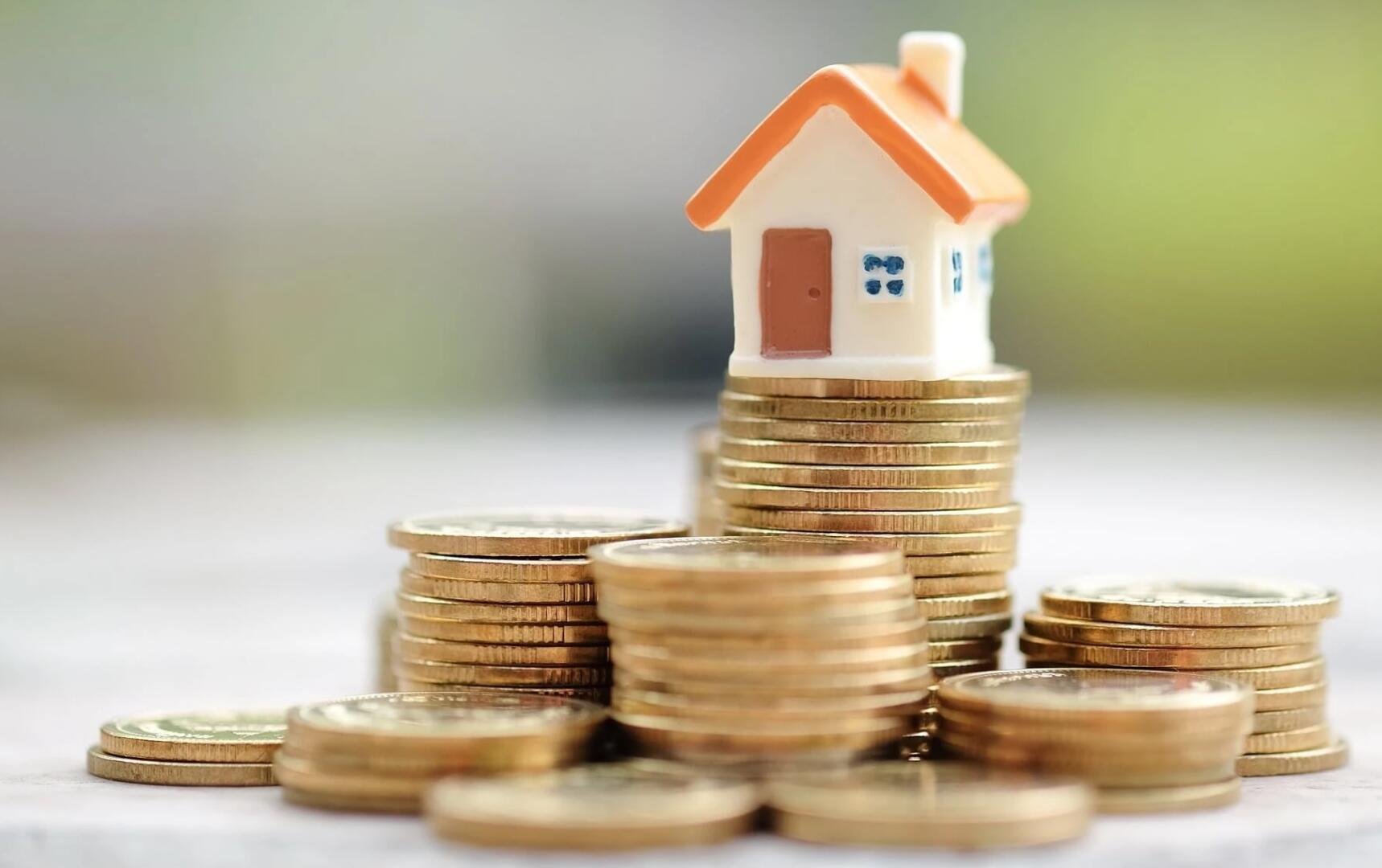 Why wealth taxes don’t work - Daily Friend