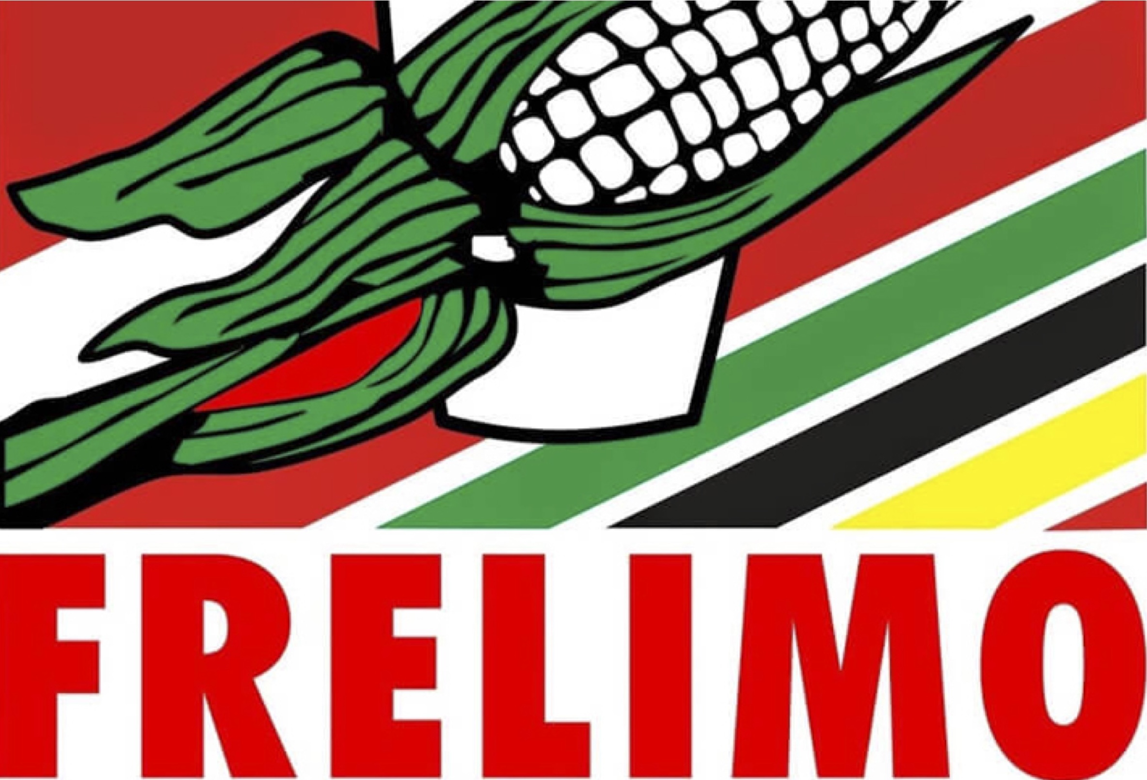 Frelimo wins disputed election in Mozambique - Daily Friend