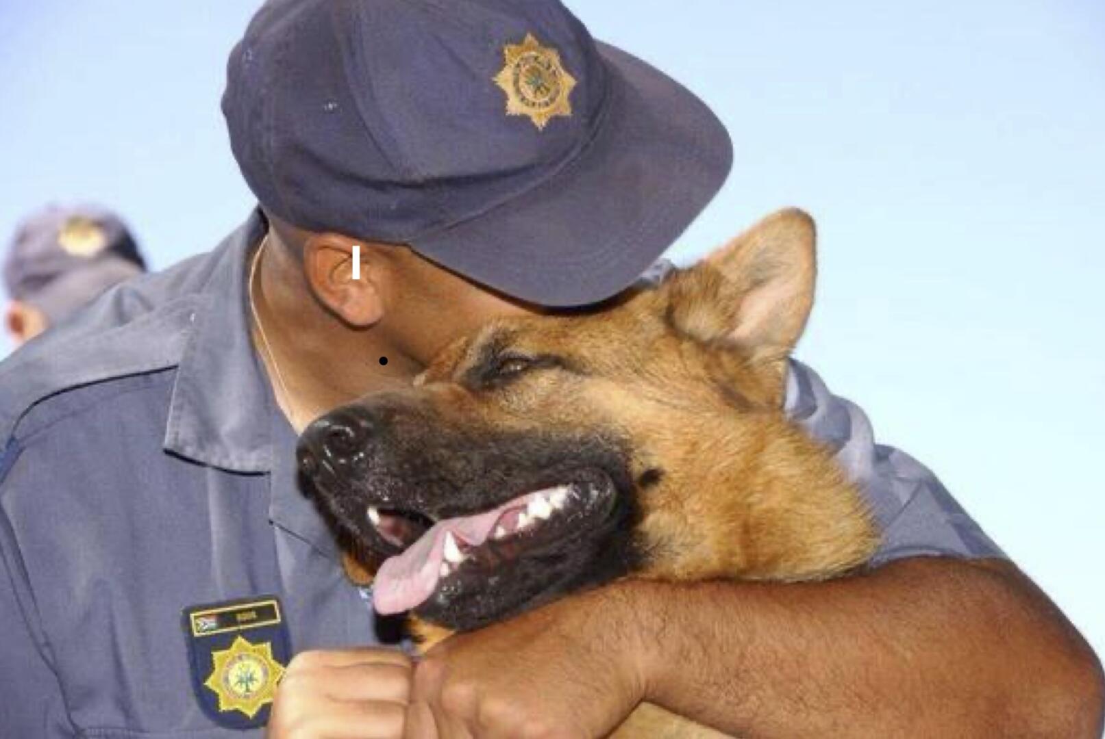 SAPS management not providing enough dogs to fight crime - Daily Friend