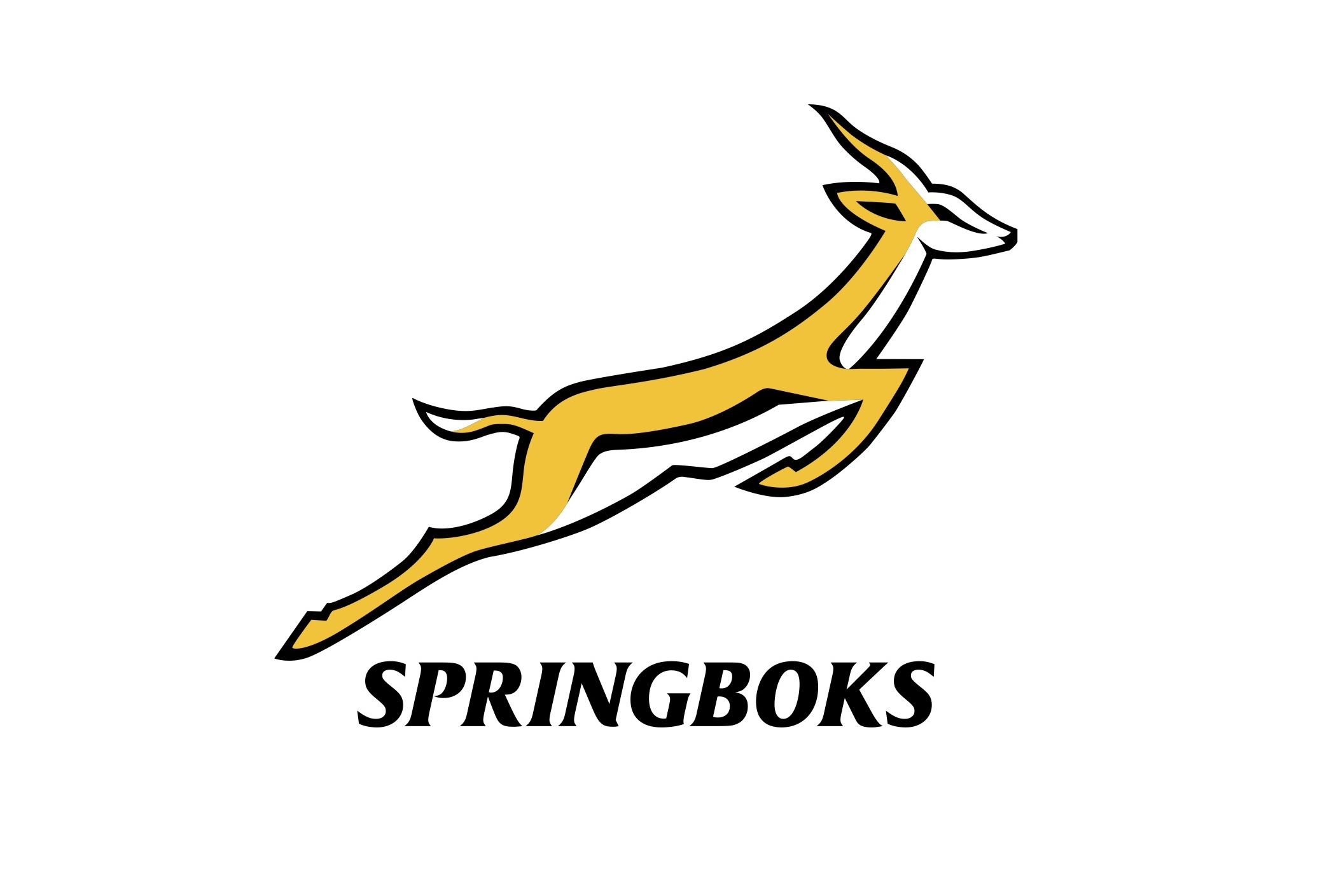 MTN ends sponsorship of the Springboks and FNB takes over - Daily Friend