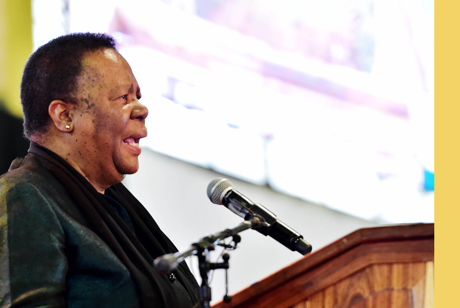 Pandor is detrimental to the credibility of SA’s foreign policy - Daily ...
