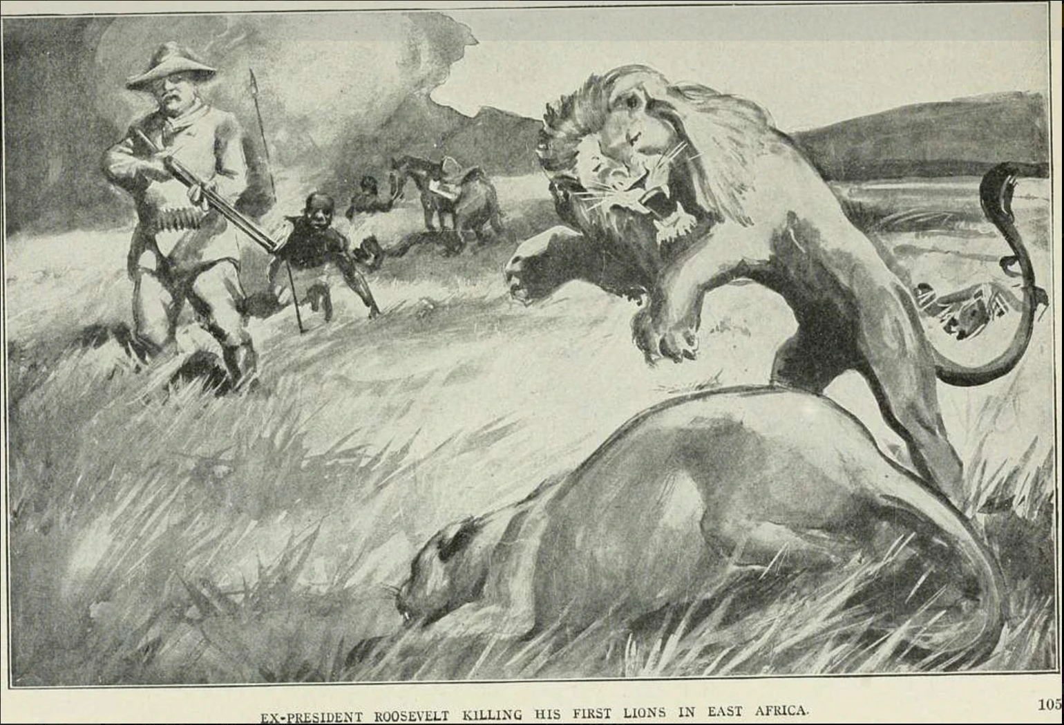 SA’s real hunting, conservation story - Daily Friend